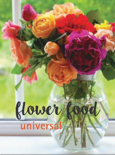Cut flower food sachet - UFO Supplies