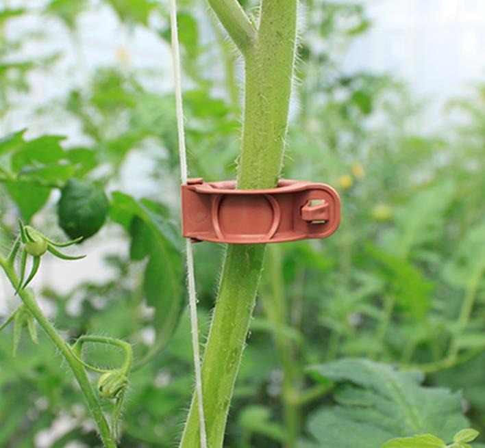 High wire crop clip 19mm biodegradable Bato - UFO Supplies