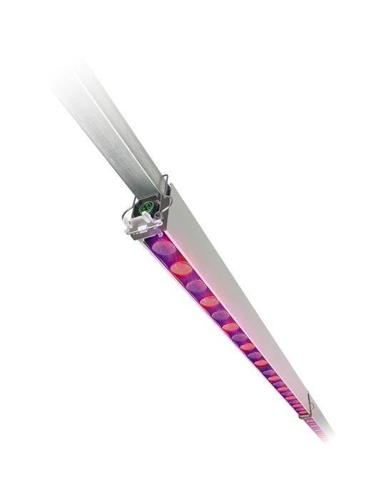 Philips LED Toplight Linear 1.3 - UFO Supplies